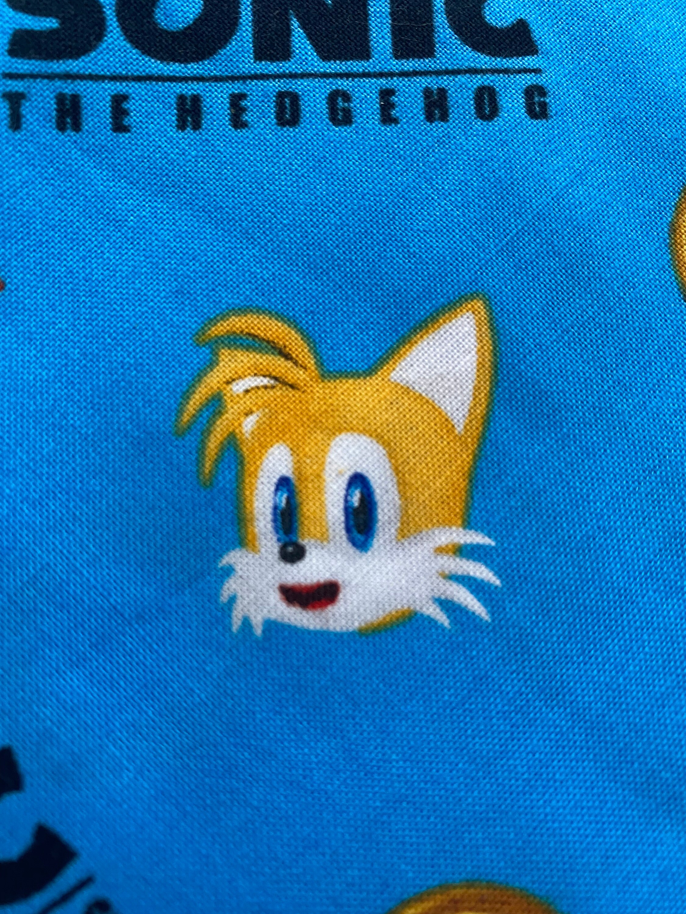 Sonic the Hedgehog and Friends Hedgehog Bag, Guinea Pig, Small Animal ...