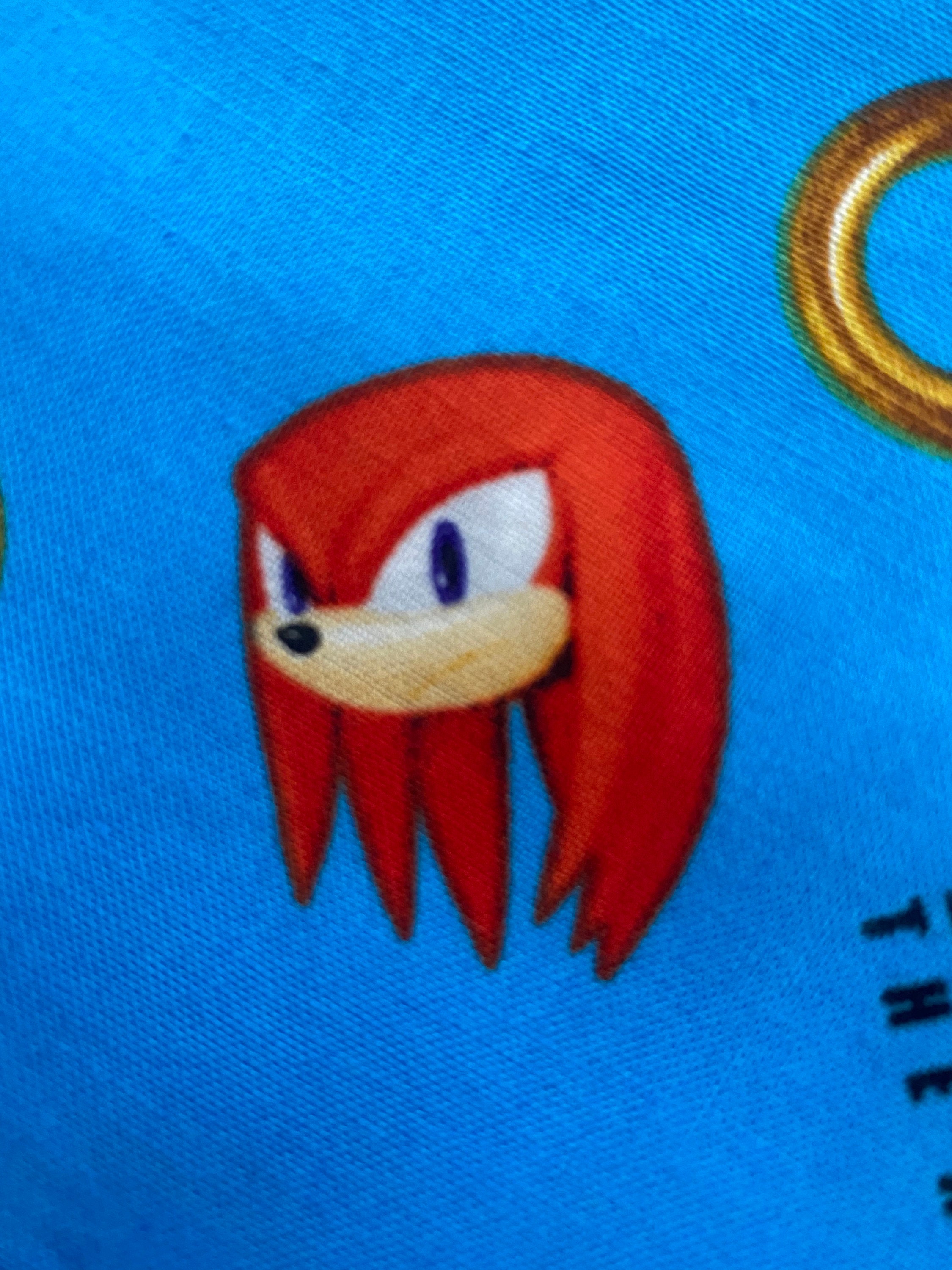 Sonic the Hedgehog and Friends Hedgehog Bag, Guinea Pig, Small Animal ...