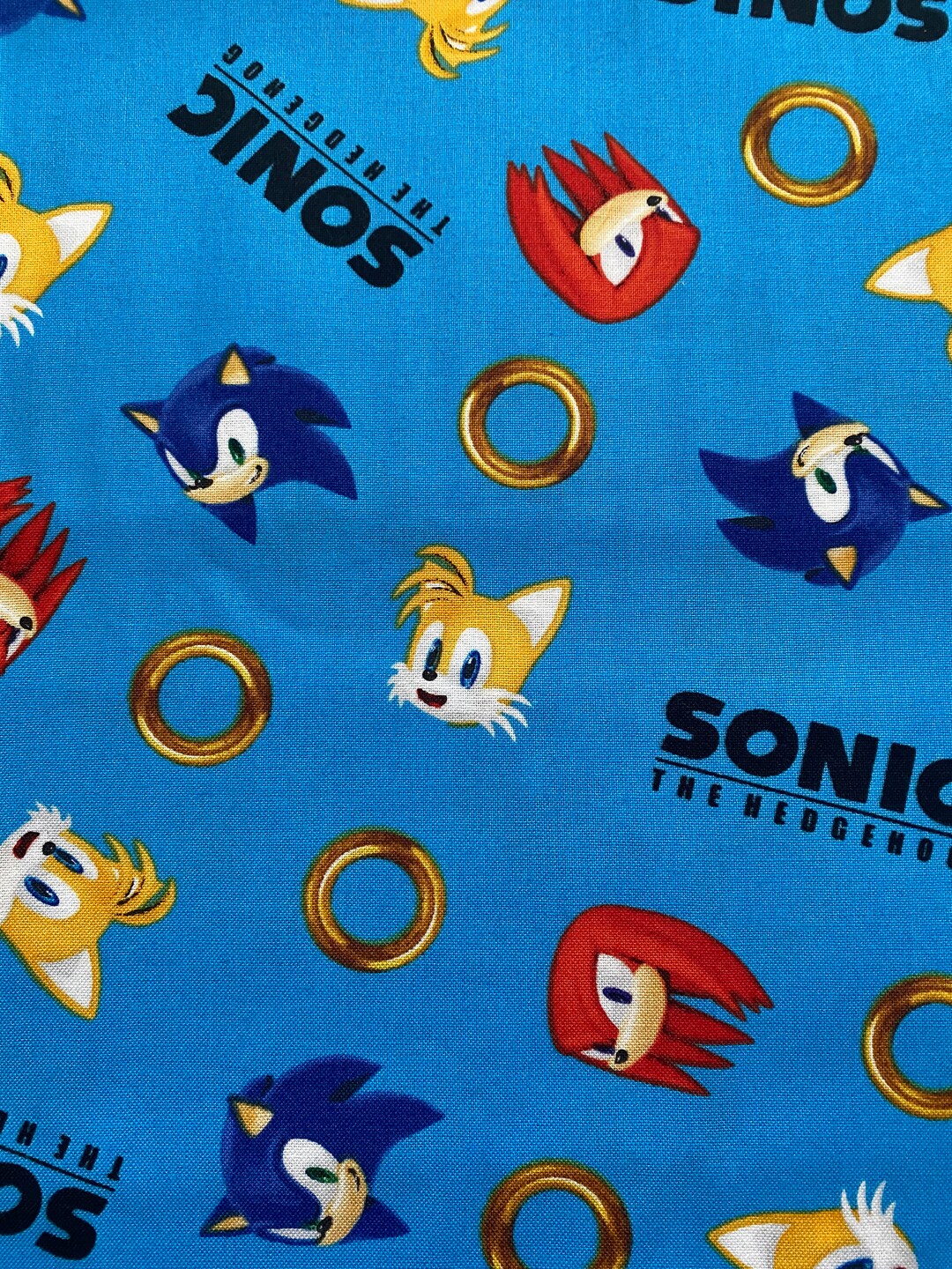 Sonic the Hedgehog and Friends Hedgehog Bag, Guinea Pig, Small Animal ...