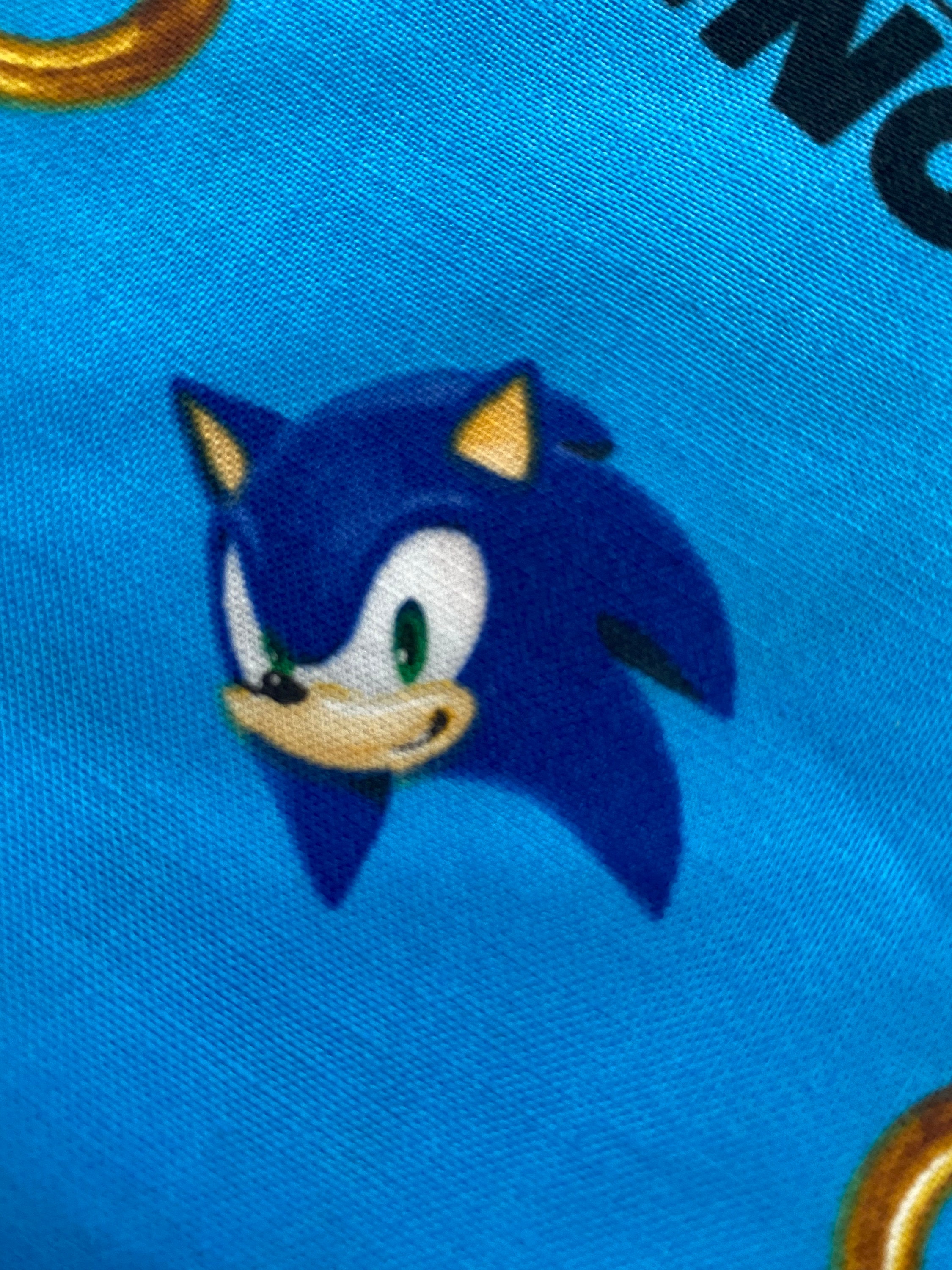 Sonic the Hedgehog and Friends Hedgehog Bag, Guinea Pig, Small Animal ...