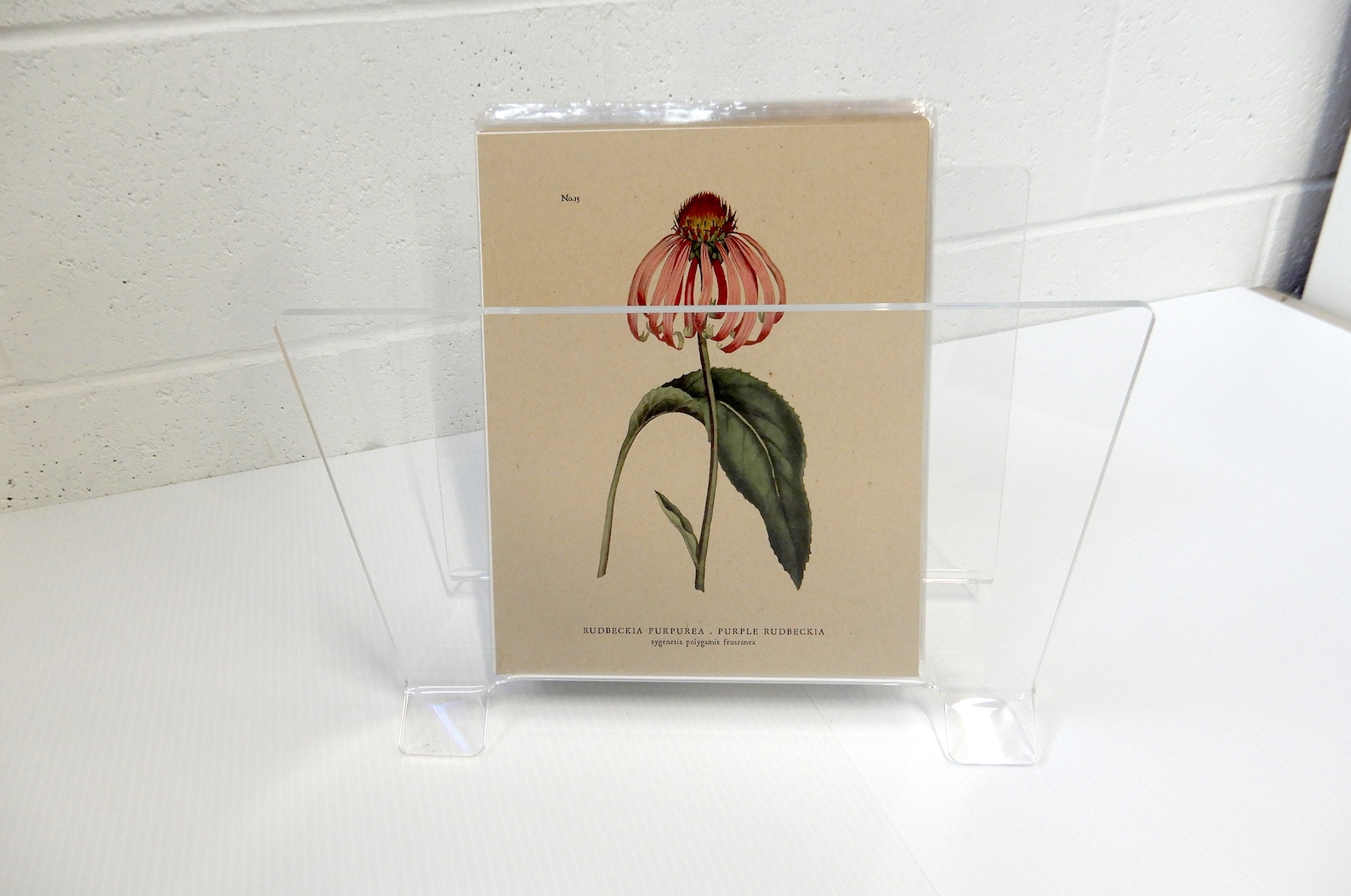 Clear Acrylic Art Print Display Bin (small) - Etsy