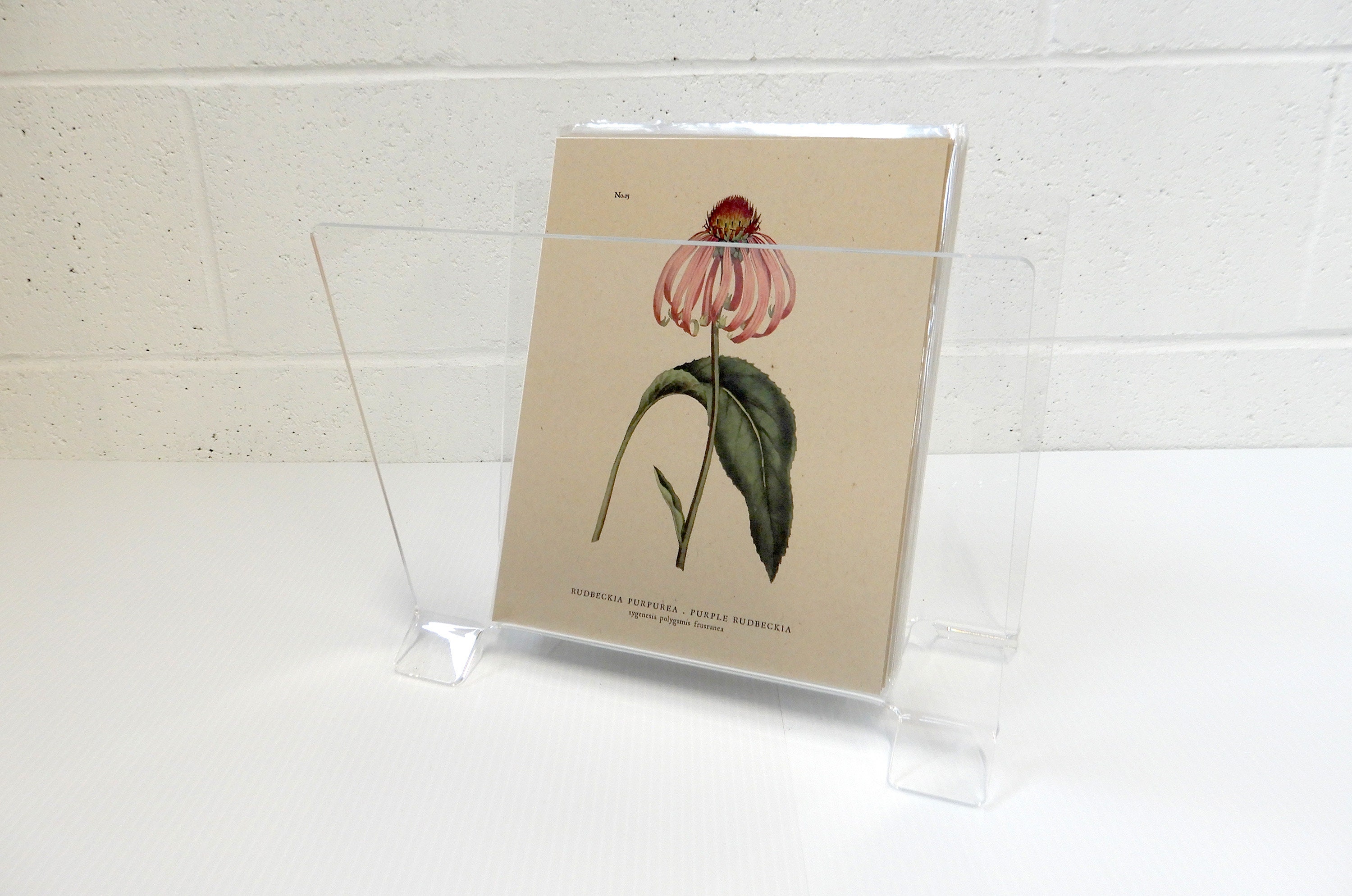 Clear Acrylic Art Print Display Bin small - Etsy UK