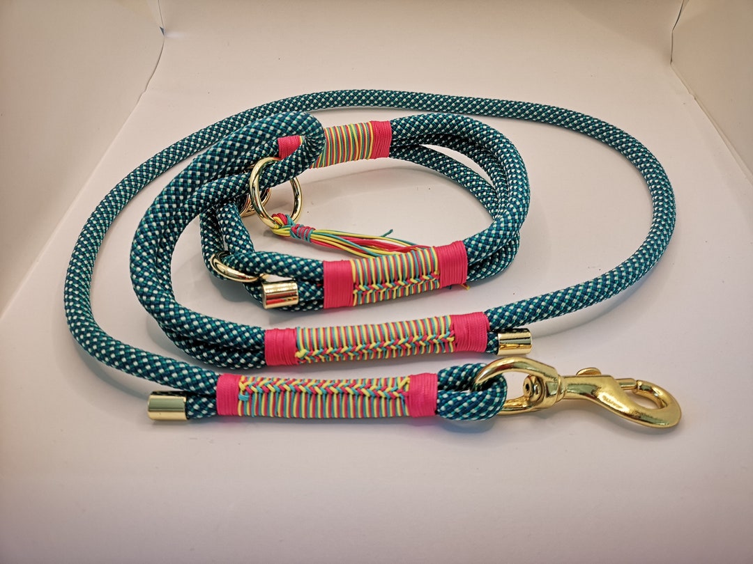 Dog Leash Kit - Etsy