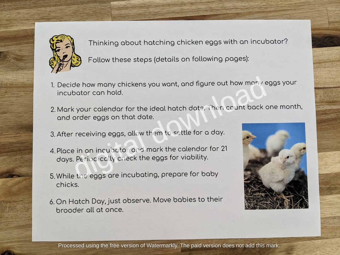 Hatching Guide digital Download - Etsy