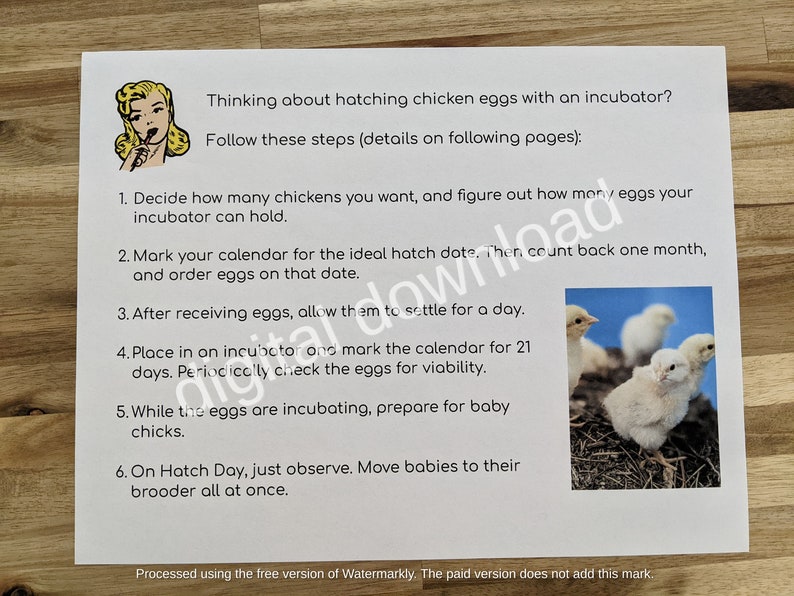 Hatching Guide digital Download - Etsy