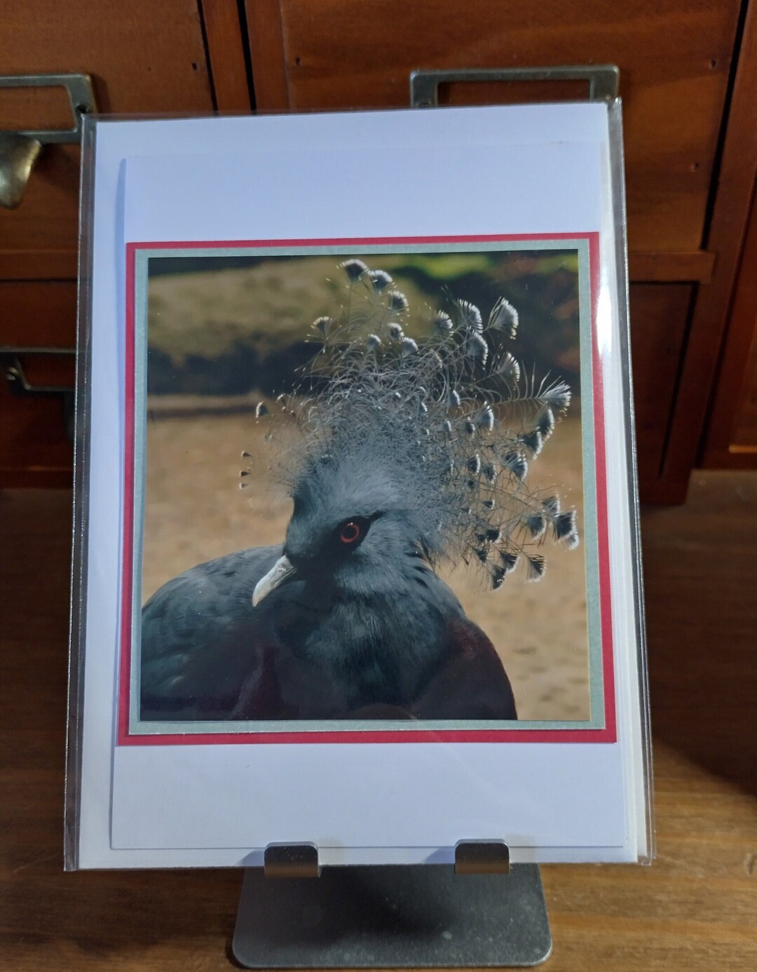Victoria Crowned Pigeon A6 Blank Greeting Card - Etsy