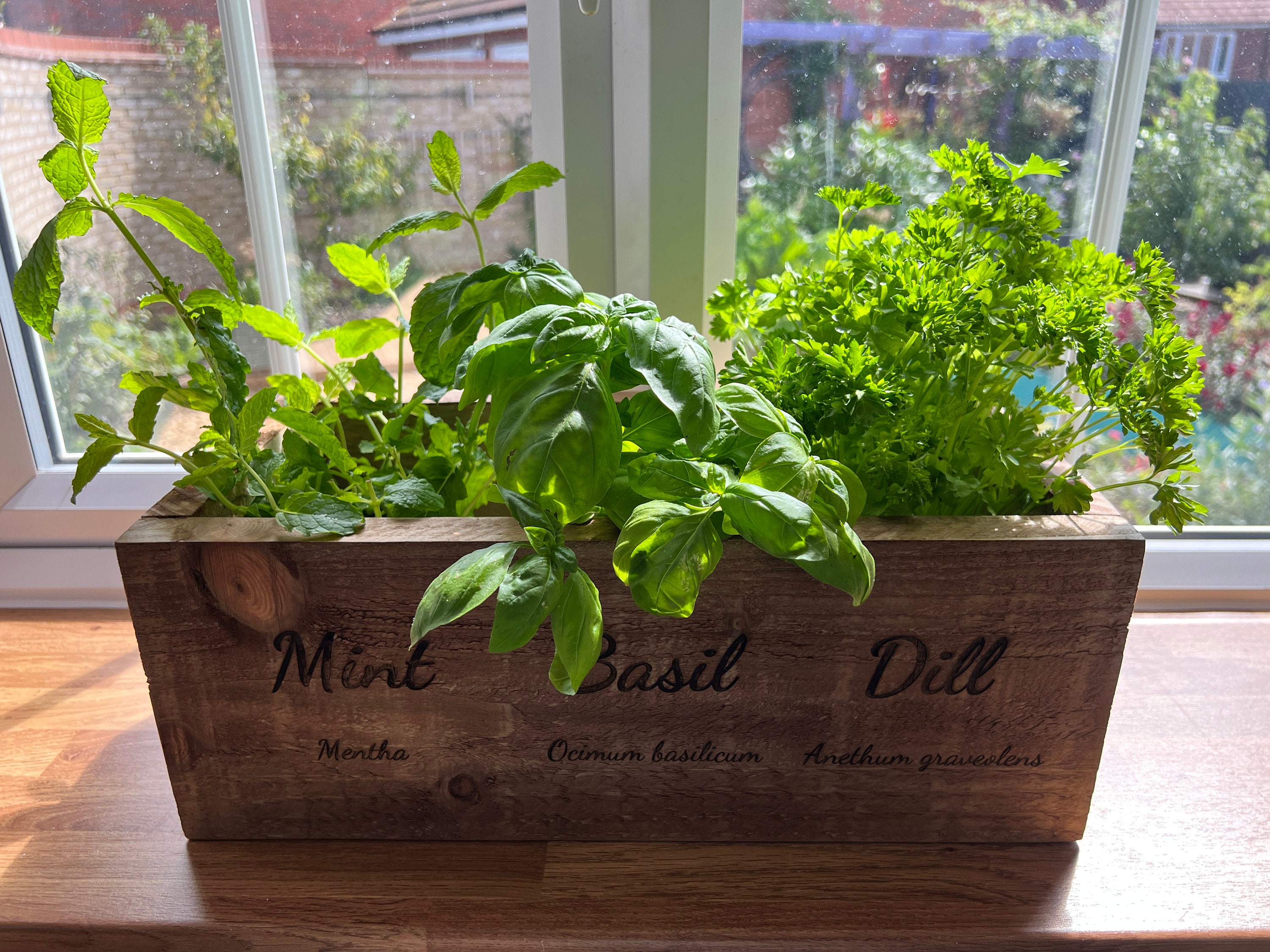 Personalised Wooden Planter Box Waxed, Gardening Gift, Indoor Herb ...