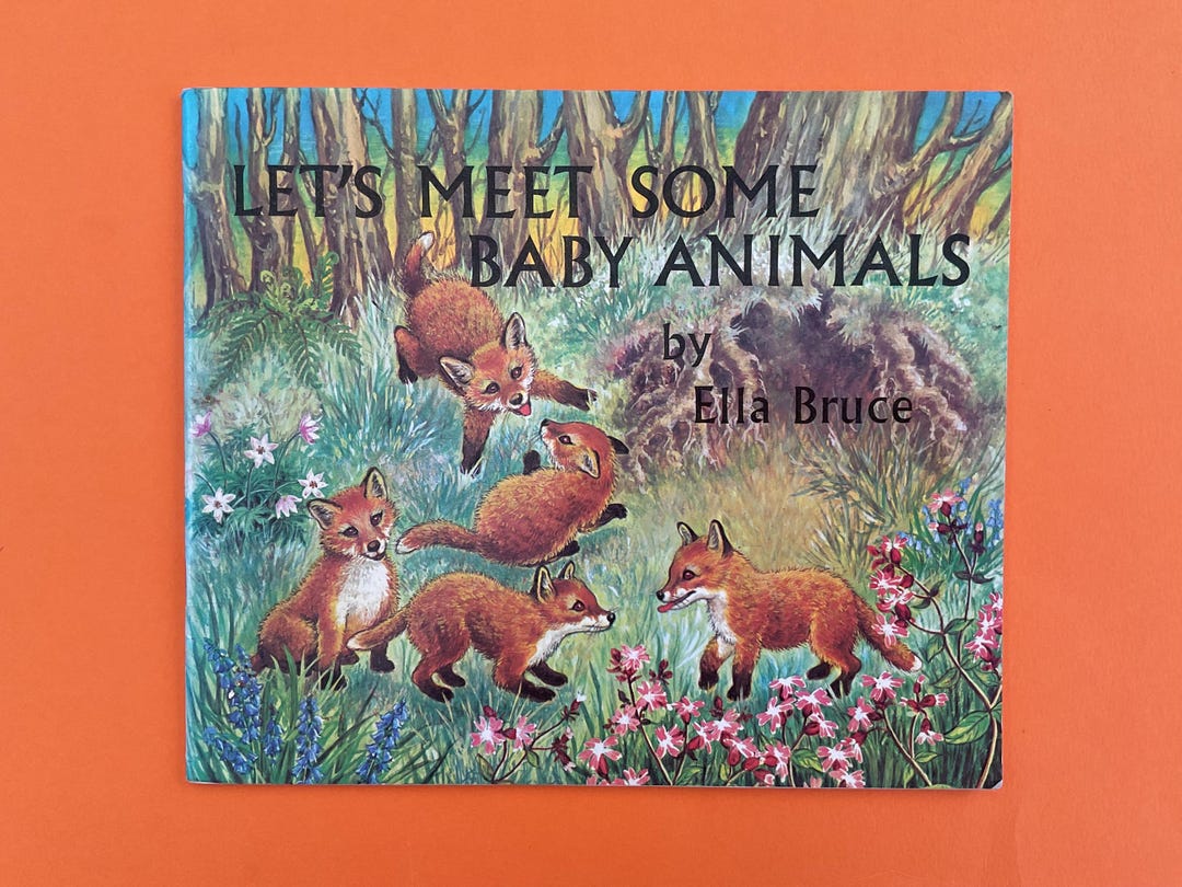 Let's Meet Some Baby Animals by Ella Bruce - Medici Society - Etsy