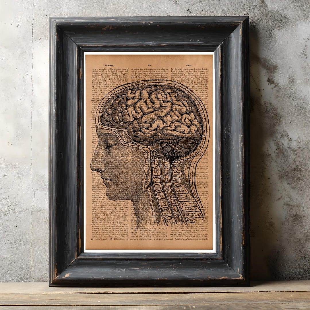 Vintage Human Brain Anatomy Poster – Medical Illustration Art Print ...