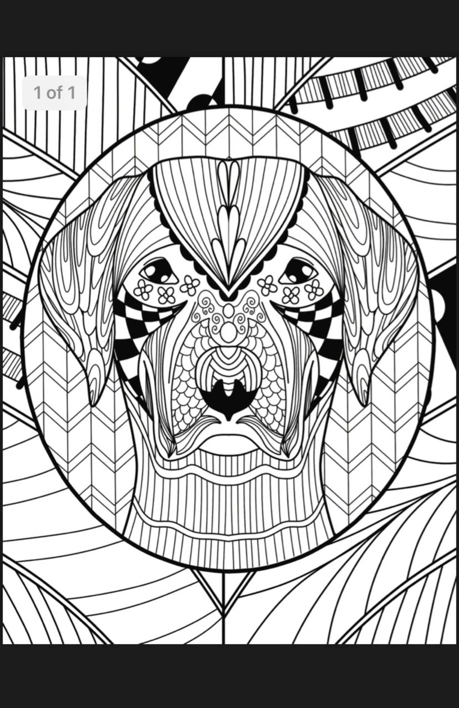 20 ZEN COLORING PAGES | Etsy