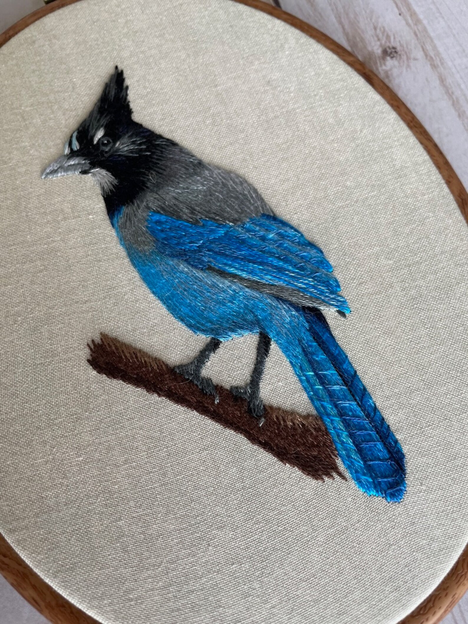 Steller's Jay Embroidery Pattern: Beginner Friendly Thread Painting ...