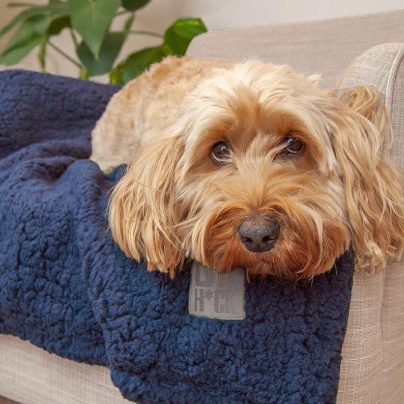 Navy Blue Extra Large Fluffy Dog Snuggle Blanket, Dog Couch Sofa ...