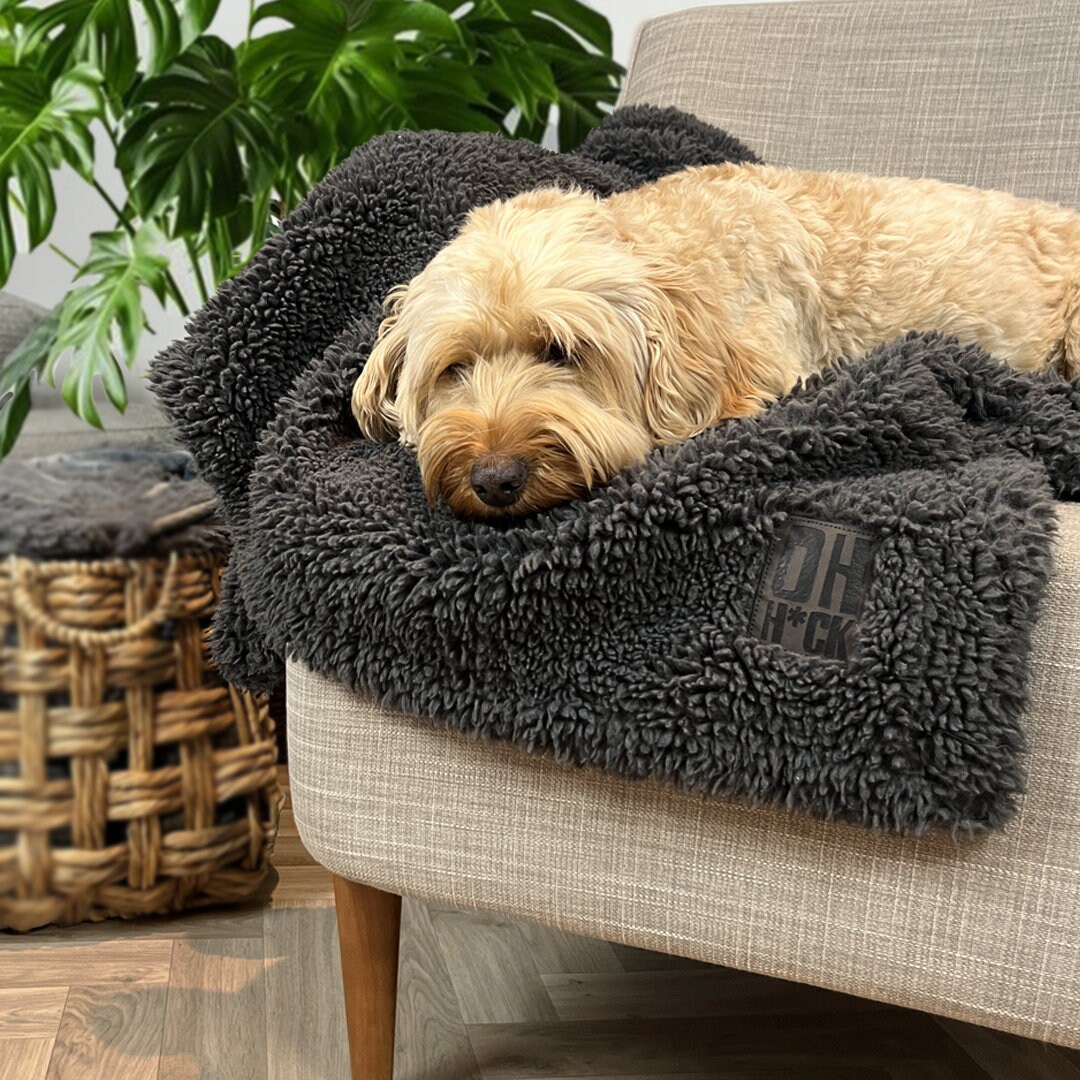 Grey Extra Large Fluffy Dog Snuggle Blanket, Dog Couch Sofa Cuddling ...
