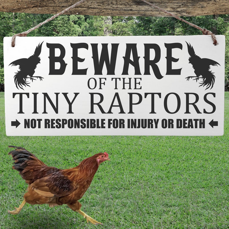 Chicken Signs - Etsy