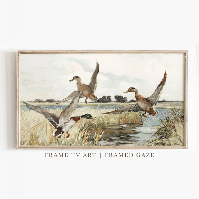 Display for Ducks - Etsy
