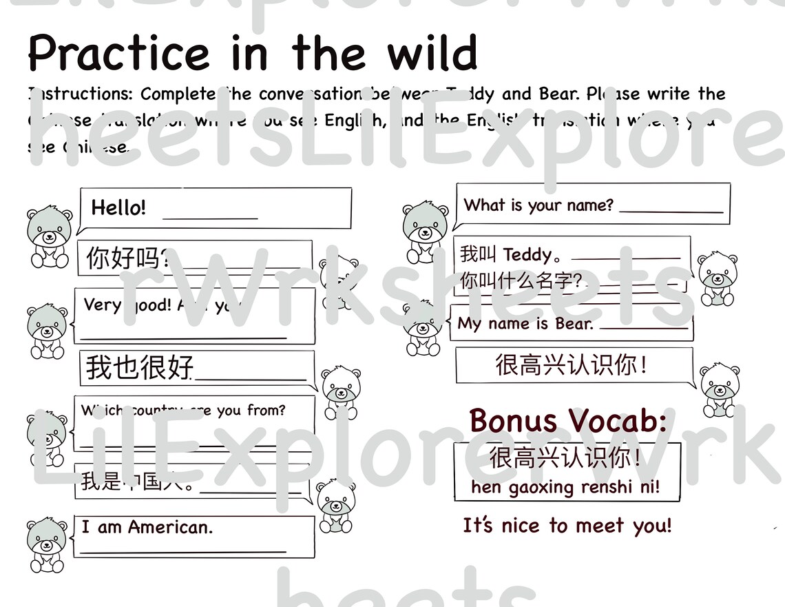 Lesson 3: Introductions - Chinese Language Beginner Worksheets - Etsy