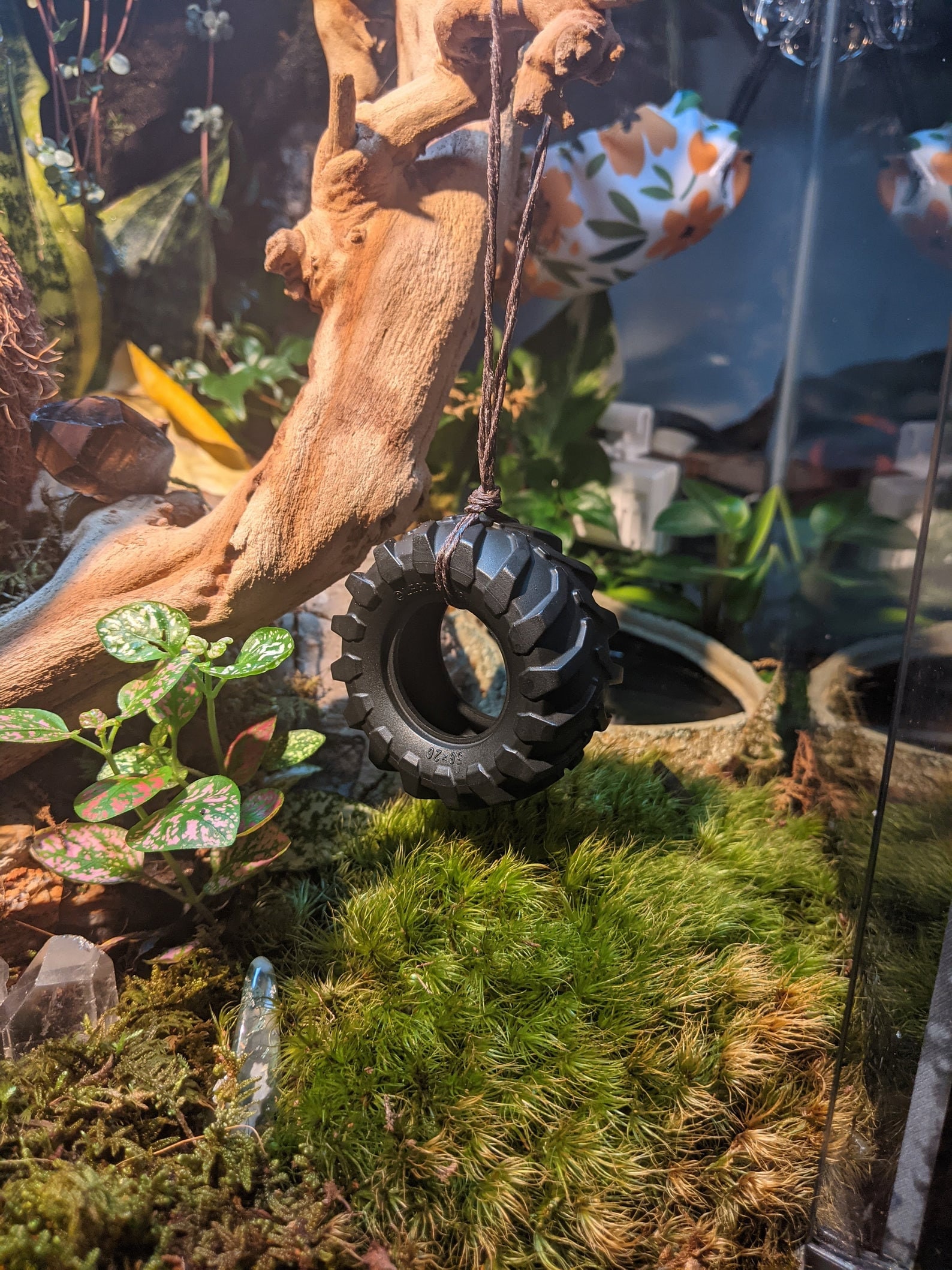 Reptile/terrarium Tire Swing © vertical - Etsy