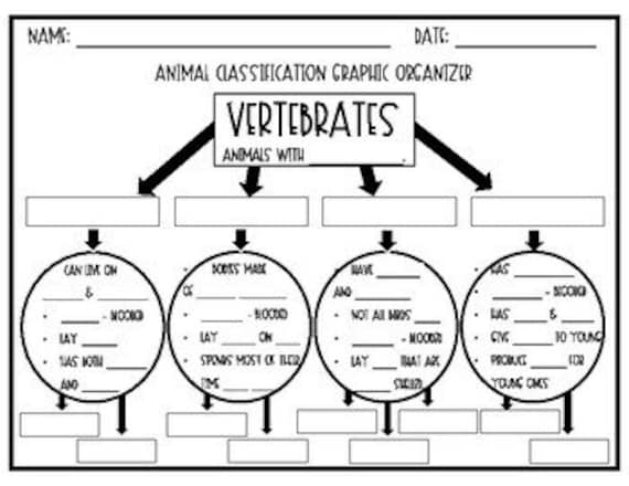 Animal Classification Graphic Organizer