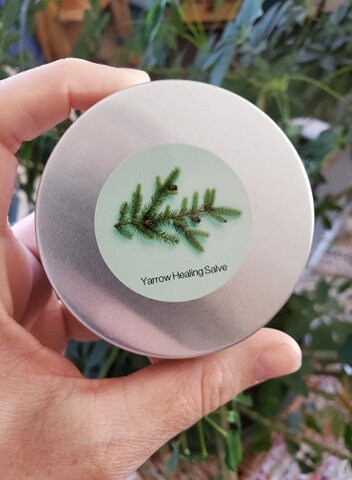 Organic Wild Yarrow Healing Salve - Etsy