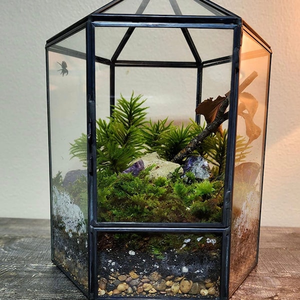 Large Glass Terrarium - Etsy