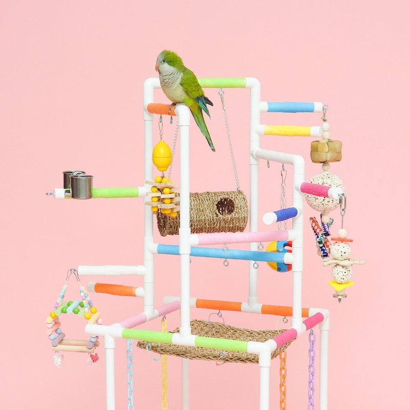 Bird Play Gym - Etsy