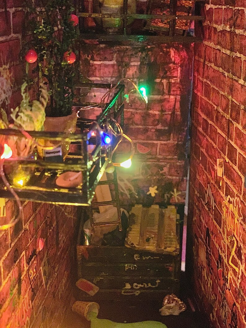 NYC Street Meat- Book Nook Shelf Insert- Brooklyn Graffiti Alleyway ...