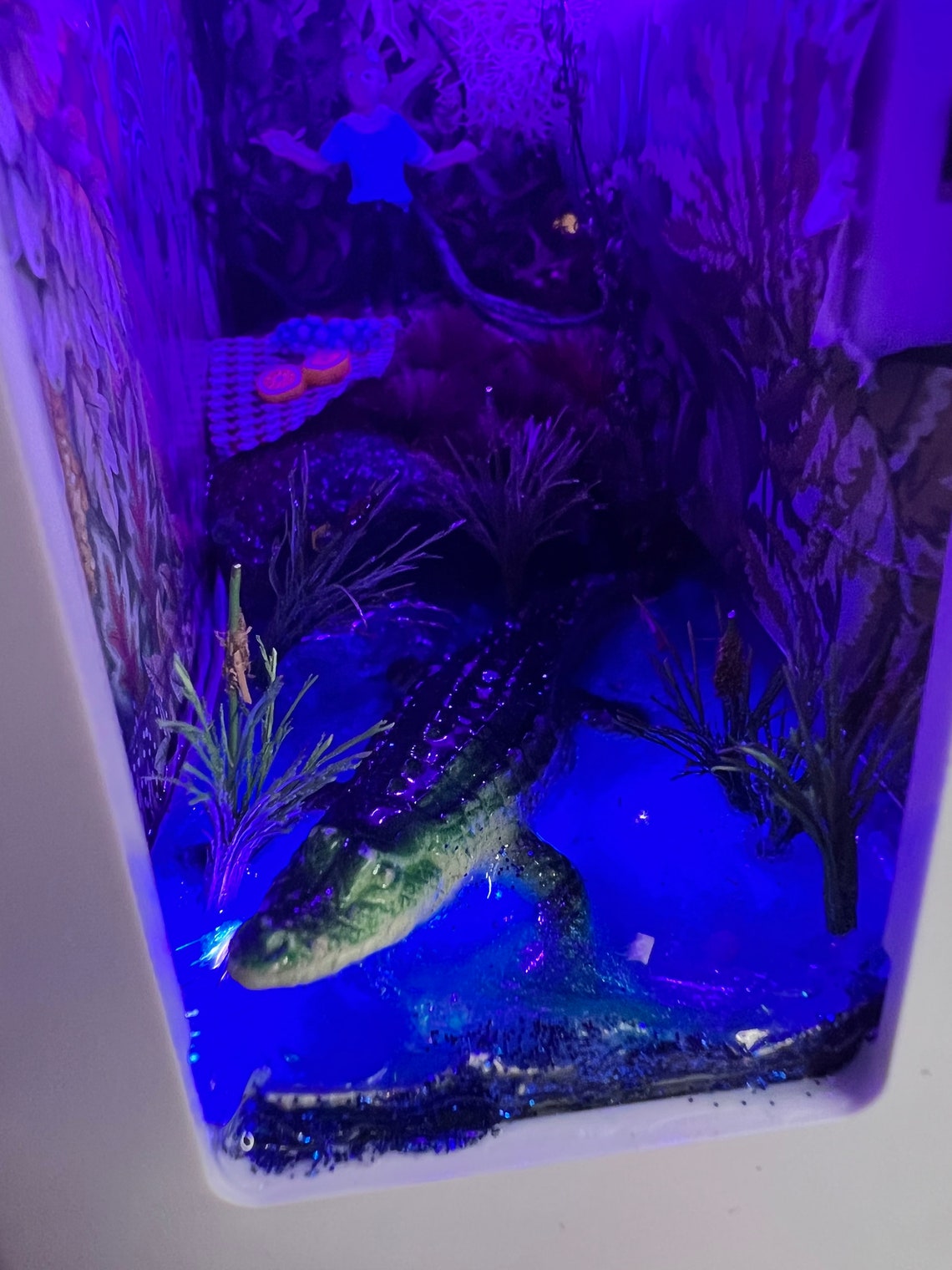 Swamp Picnic Mini Book Nook Diorama With Led Lights - Etsy