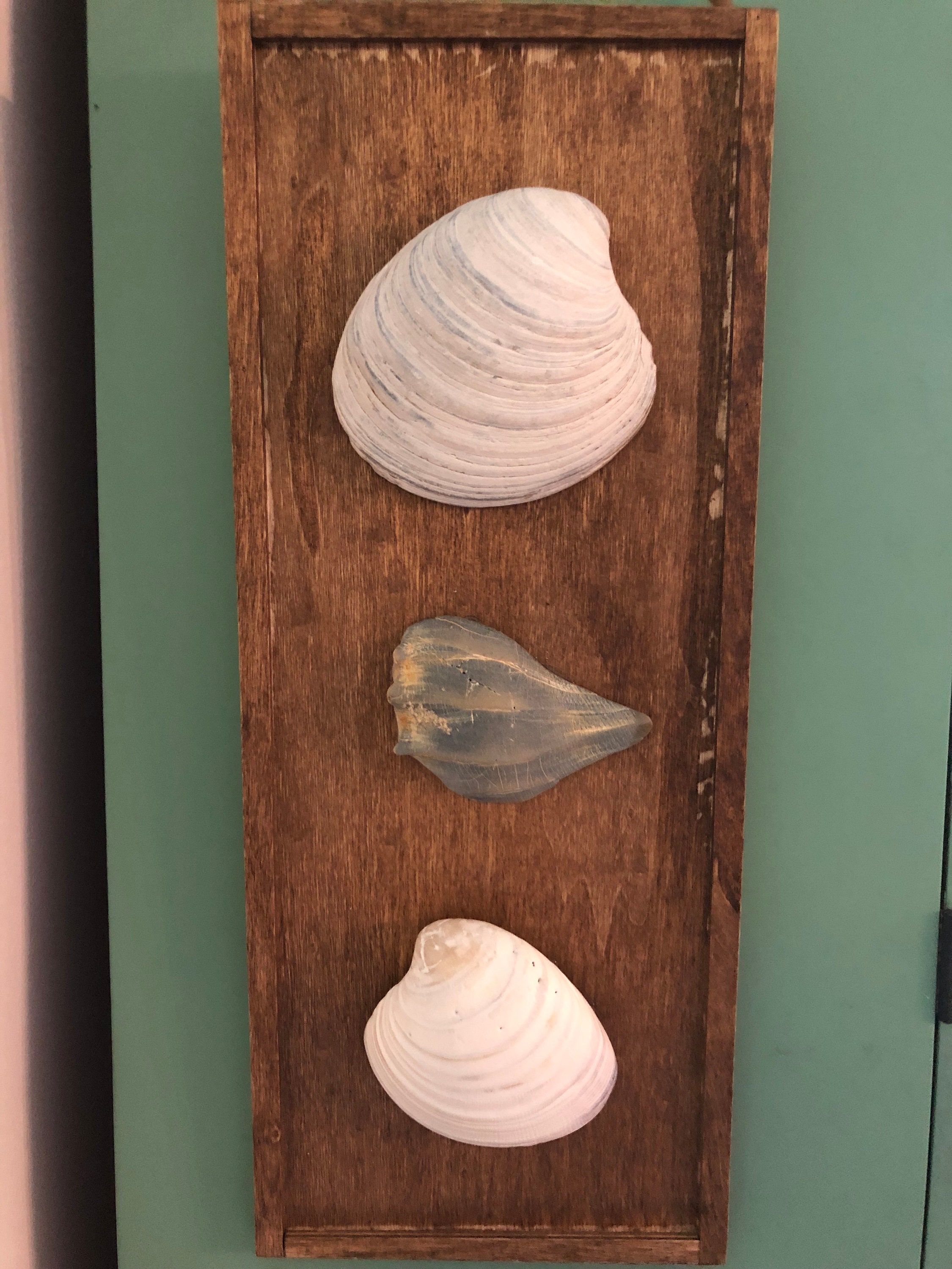 Sea Shell Sign | Etsy