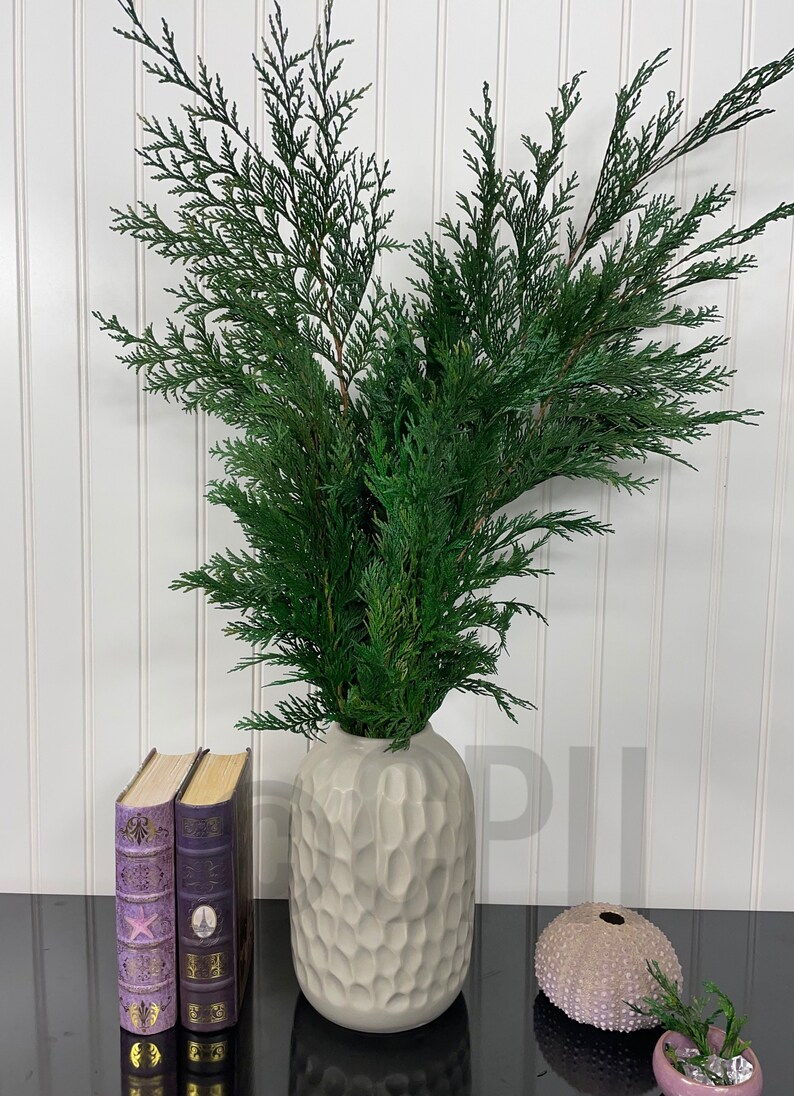 Preserved P.O. Cedar Port Orford Cedar Cedar - Etsy