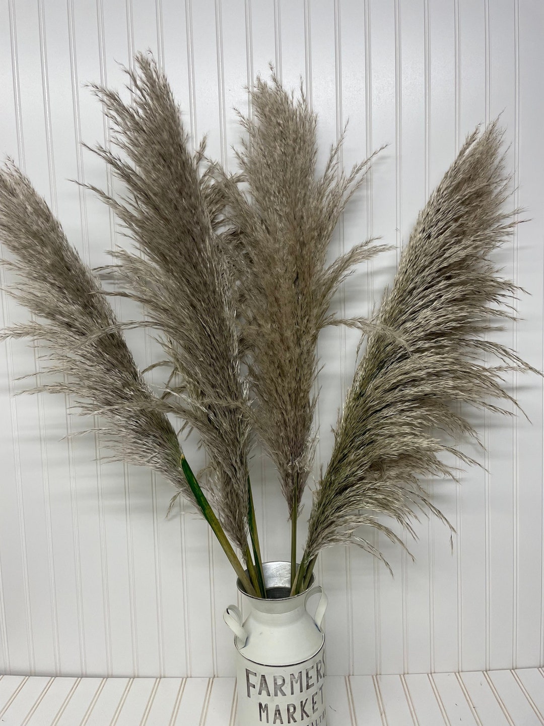 Preserved Pampas, Floral Arrangements, Pampas Grass, Home Decor, Floral ...