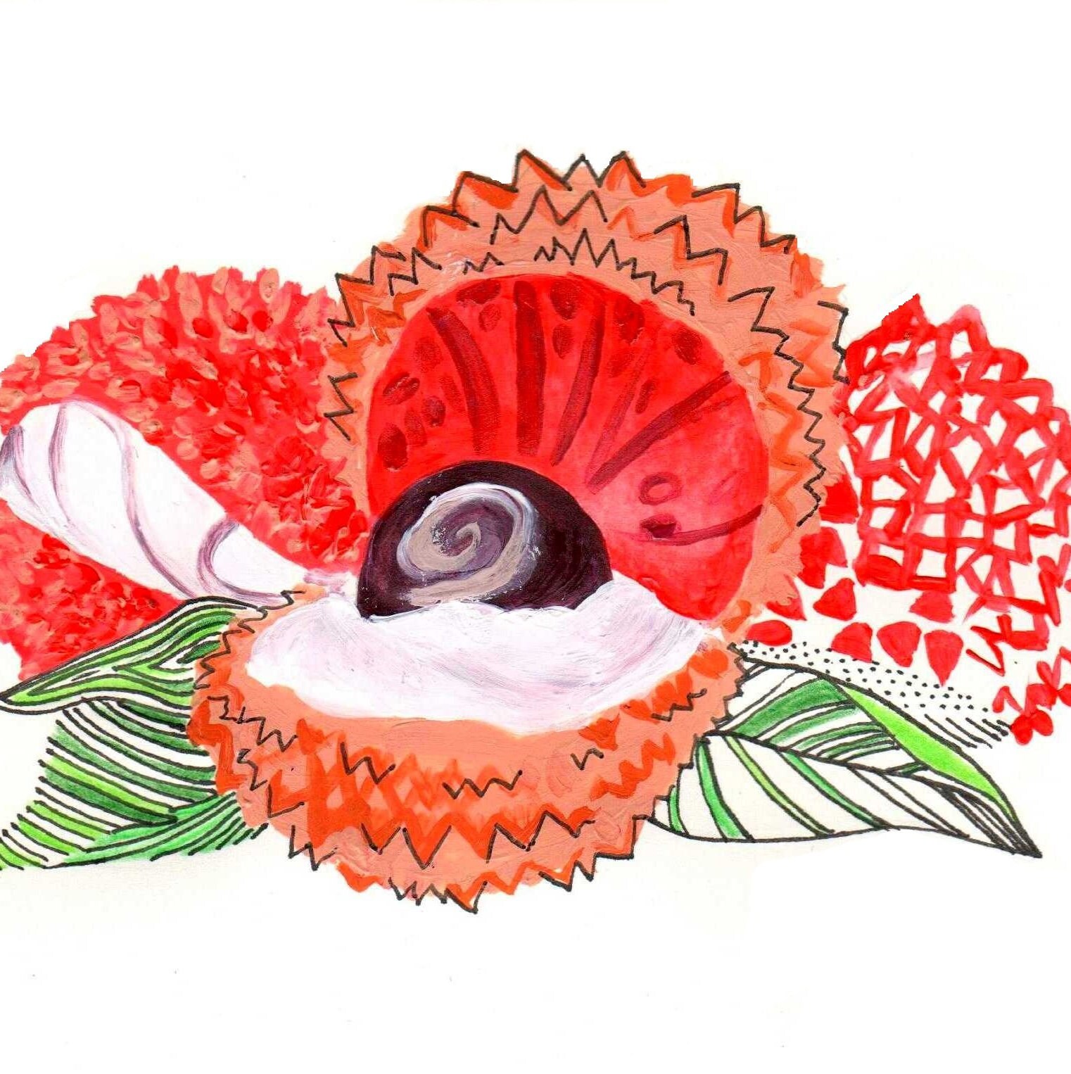 Abstract Lychee Print Original drawing of Chinese plum litchi | Etsy