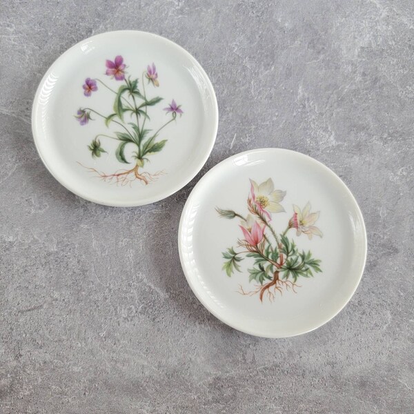 Viola Tricolor - Etsy