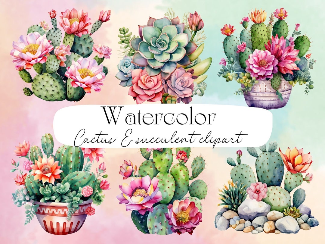 22 PNG Watercolor Floral Cactus Succulent Clipart - Instant Download - Etsy
