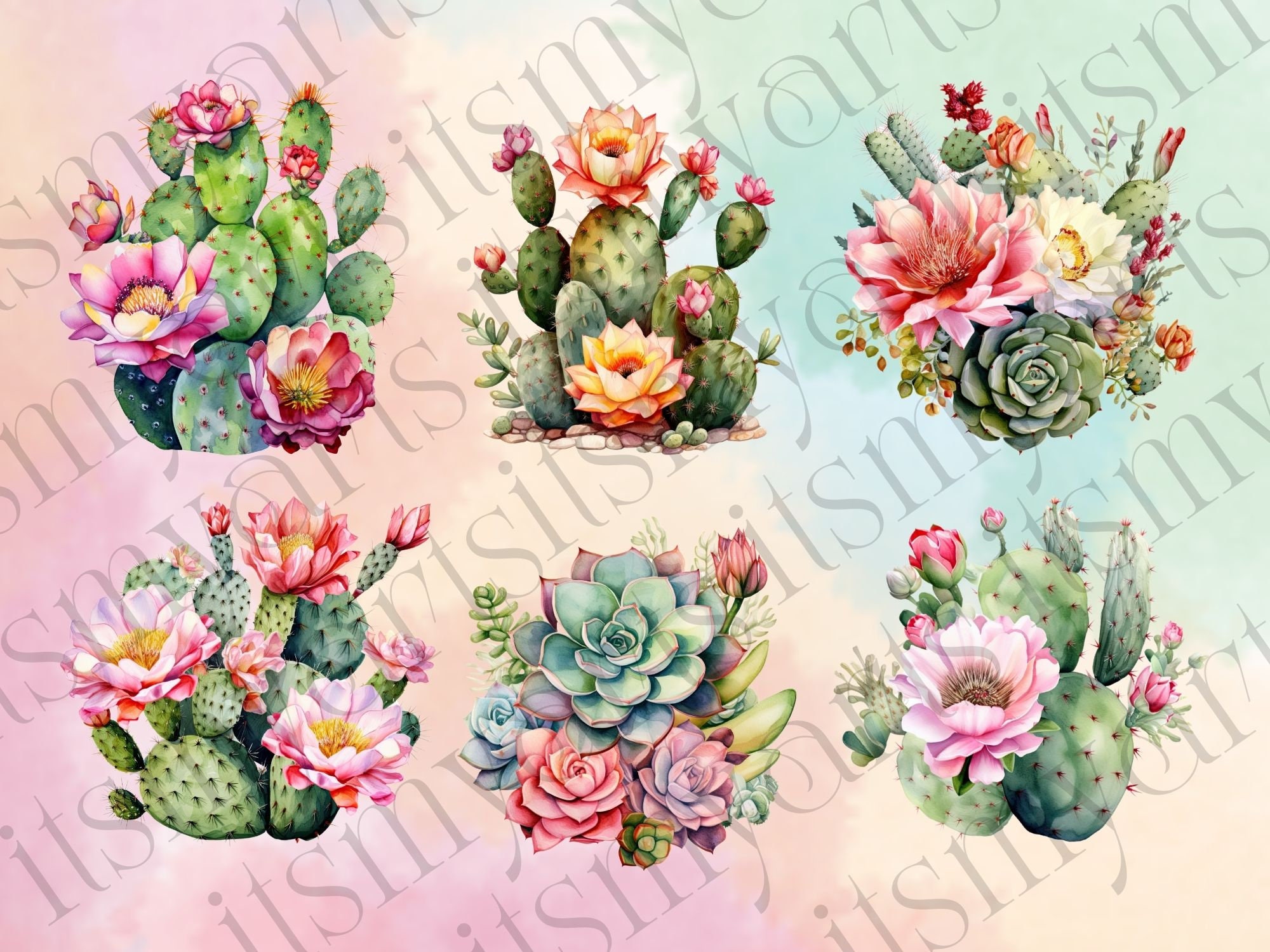 22 PNG Watercolor Floral Cactus Succulent Clipart - Instant Download - Etsy