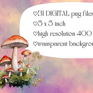 31 Watercolor Mushrooms Clipart PNG - Cute Forest Nature Toadstool Clip ...