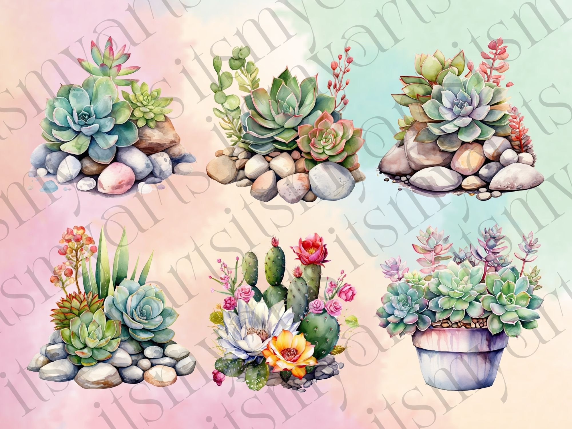 22 PNG Watercolor Floral Cactus Succulent Clipart Instant - Etsy