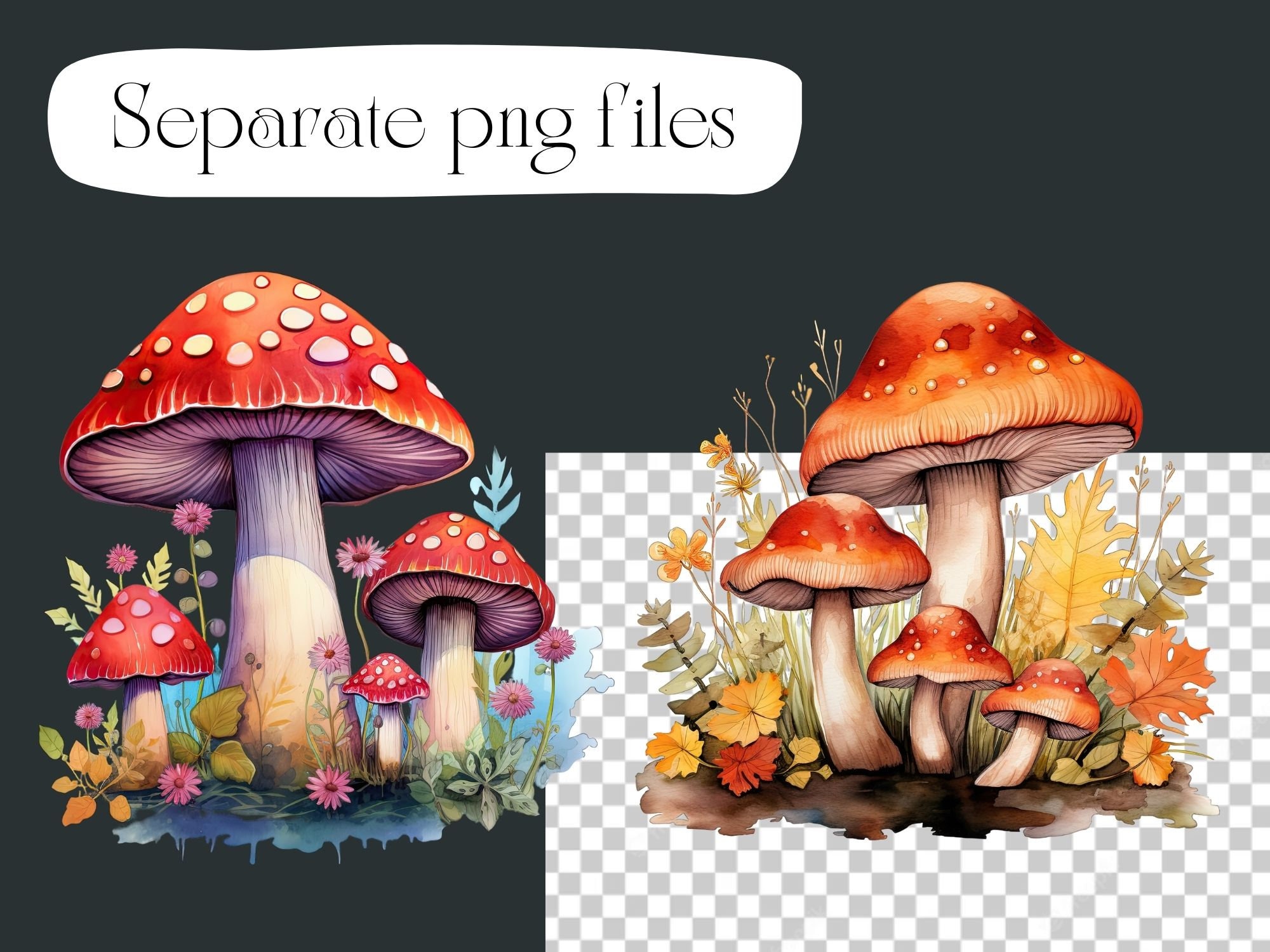31 Watercolor Mushrooms Clipart PNG Cute Forest Nature Toadstool Clip ...