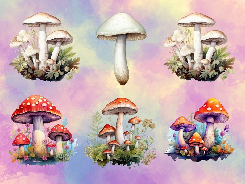 31 Watercolor Mushrooms Clipart PNG Cute Forest Nature Toadstool Clip ...