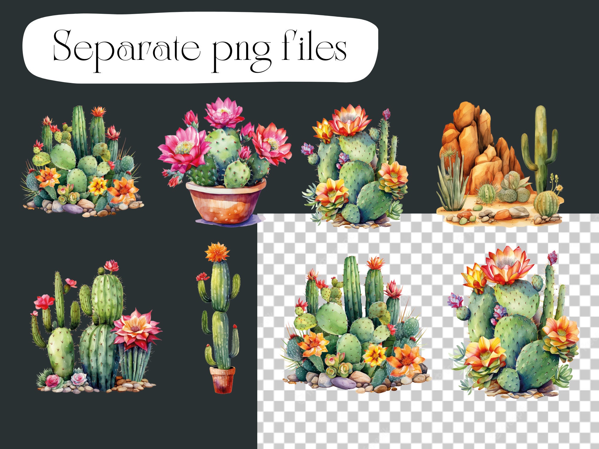 24 PNG Watercolor Floral Cactus Succulent Clipart - Instant Download - Etsy