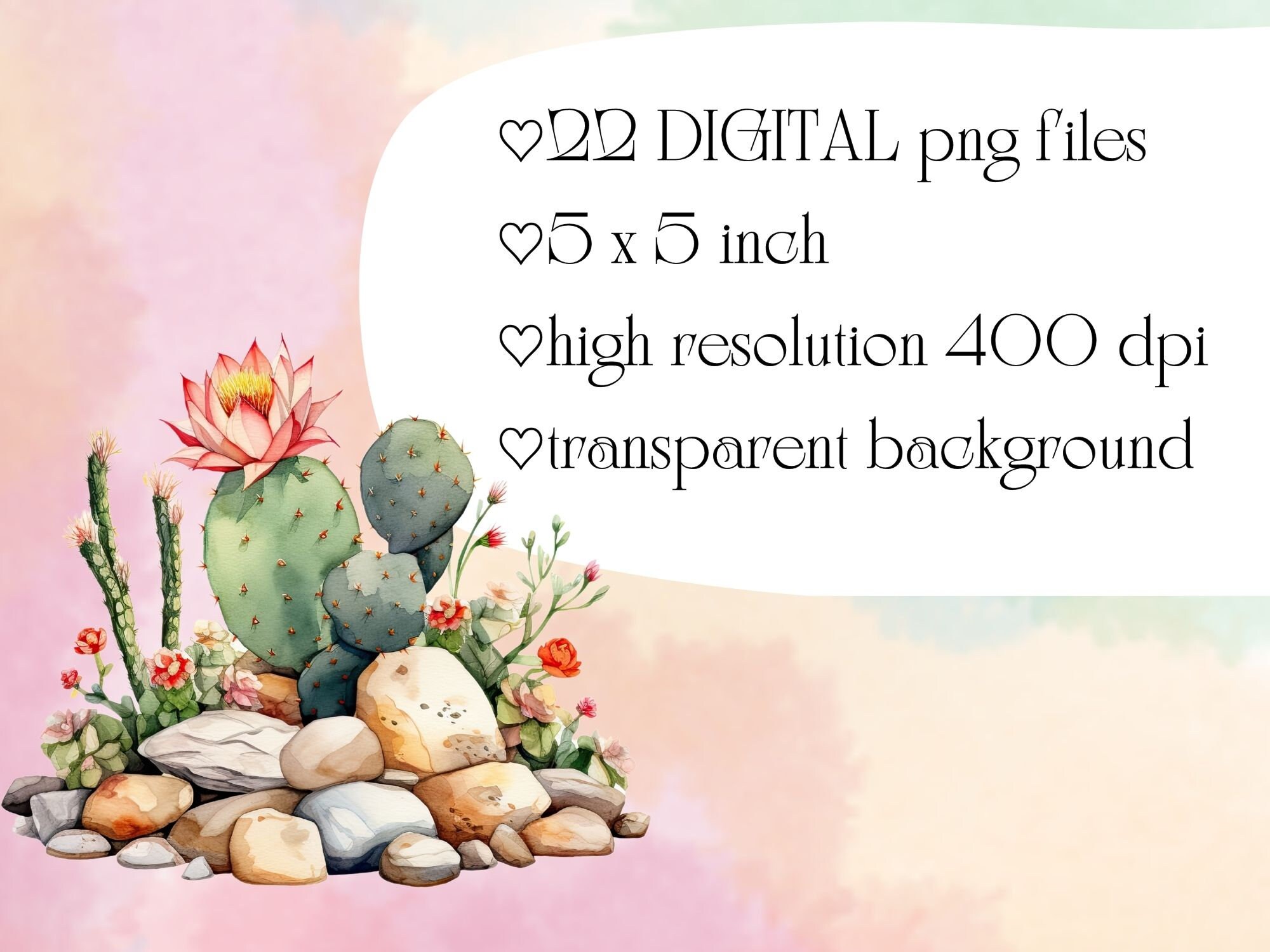 22 PNG Watercolor Floral Cactus Succulent Clipart Instant - Etsy