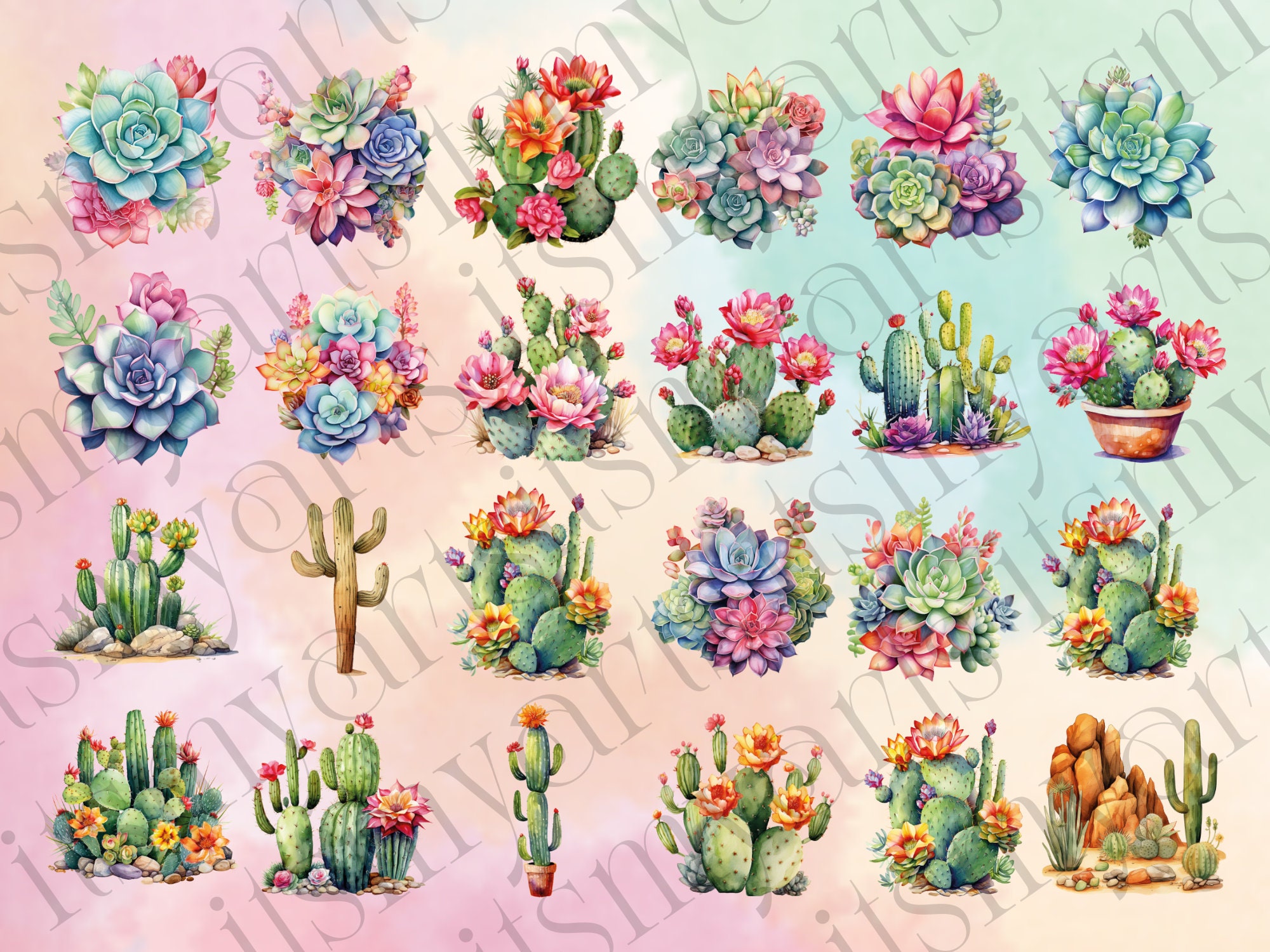 24 PNG Watercolor Floral Cactus Succulent Clipart - Instant Download - Etsy