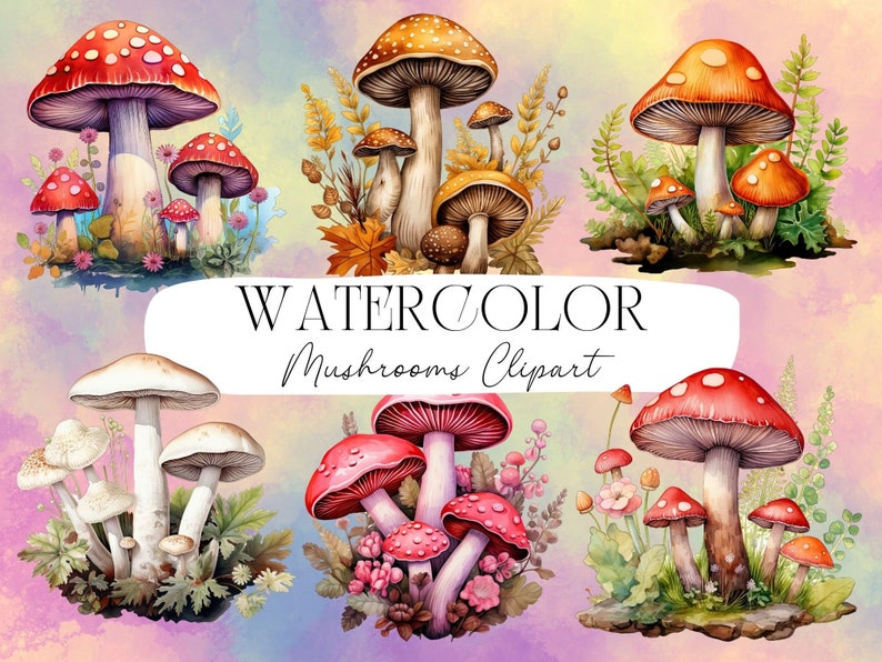 31 Watercolor Mushrooms Clipart PNG Cute Forest Nature Toadstool Clip ...