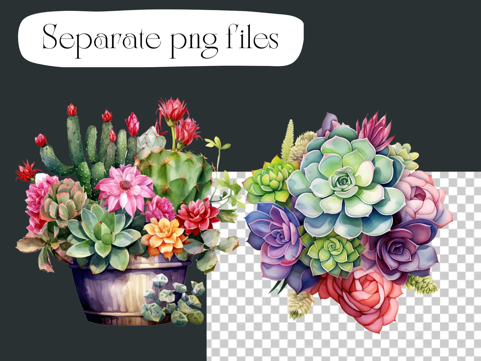 22 PNG Watercolor Floral Cactus Succulent Clipart Instant - Etsy
