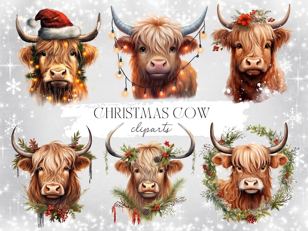 15 Christmas Highland Cow Clipart, Christmas Cow Png - Instant Download ...