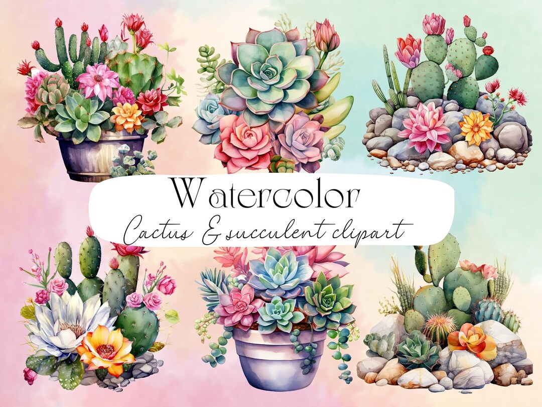 22 PNG Watercolor Floral Cactus Succulent Clipart - Instant Download - Etsy