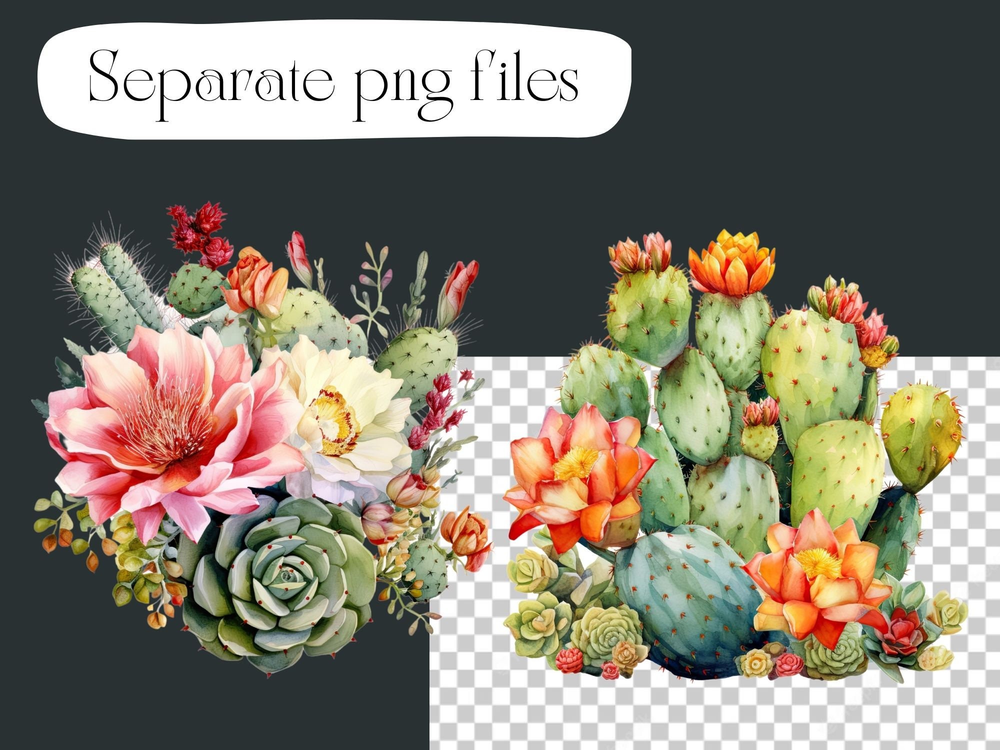 22 PNG Watercolor Floral Cactus Succulent Clipart - Instant Download - Etsy