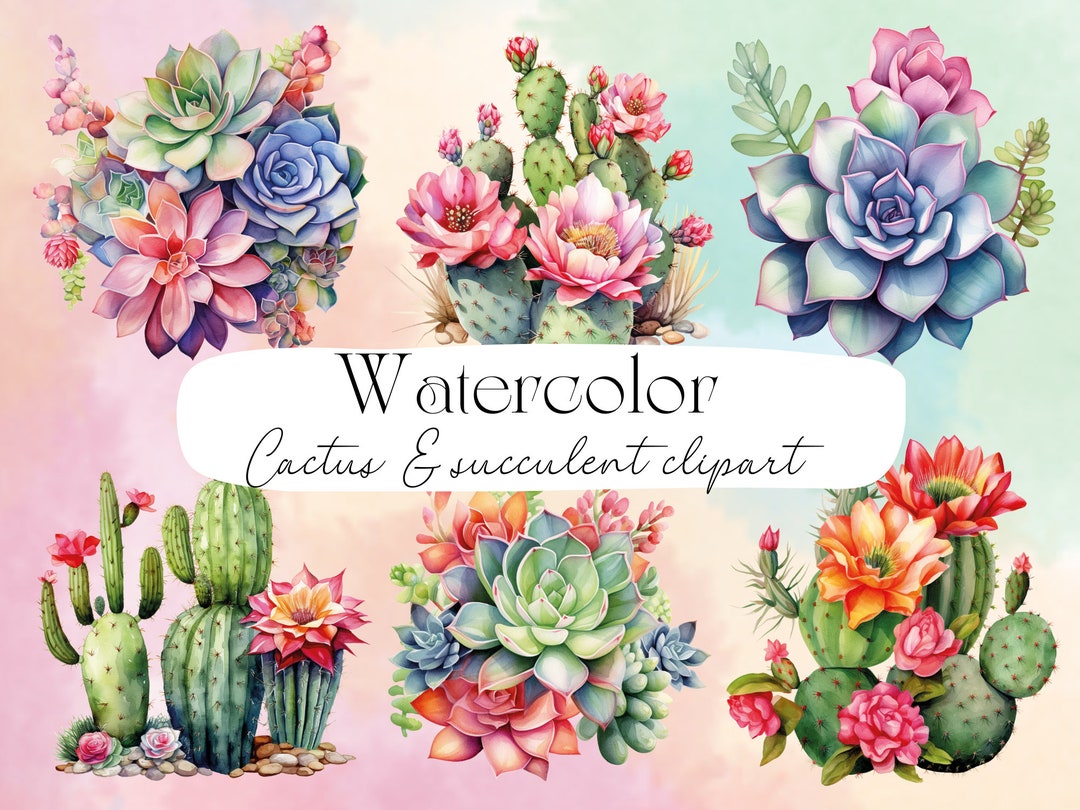 24 PNG Watercolor Floral Cactus Succulent Clipart - Instant Download - Etsy