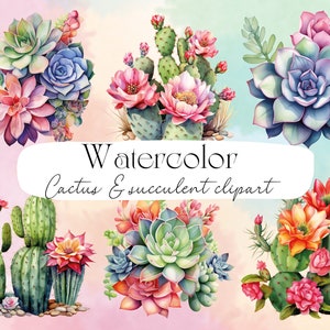 24 PNG Watercolor Floral Cactus Succulent Clipart - Instant Download - Etsy