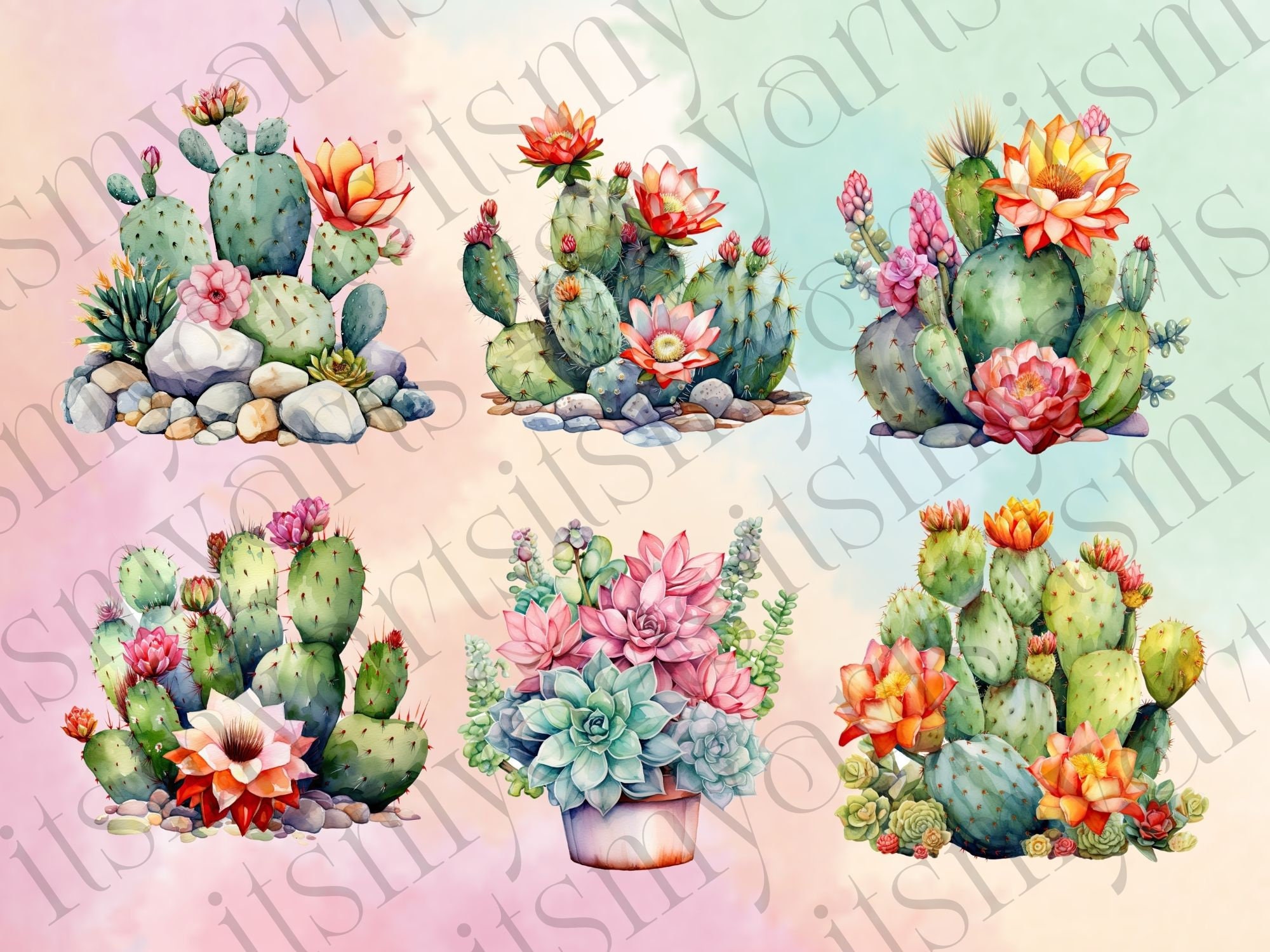 22 PNG Watercolor Floral Cactus Succulent Clipart - Instant Download - Etsy