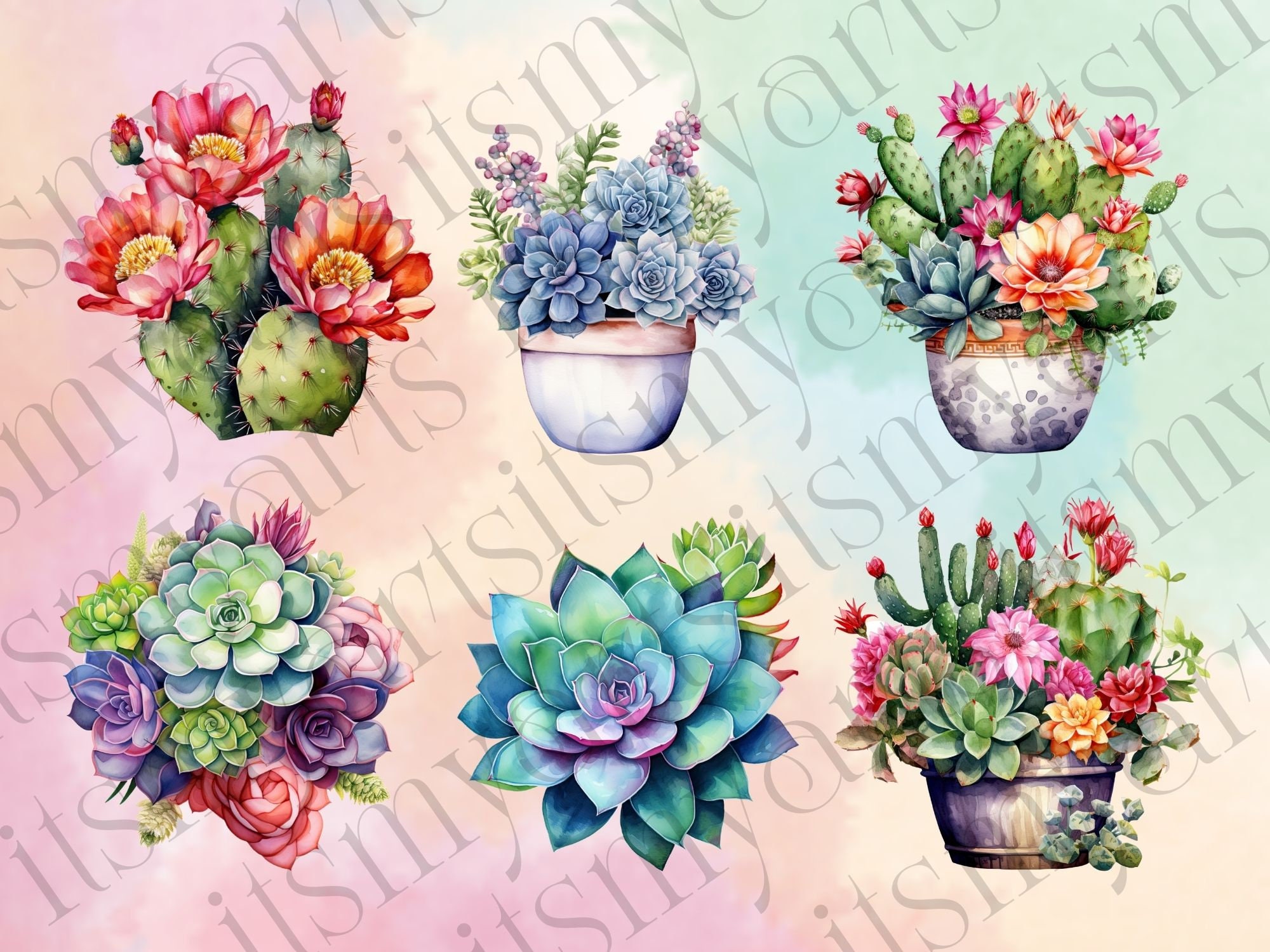 22 PNG Watercolor Floral Cactus Succulent Clipart Instant - Etsy